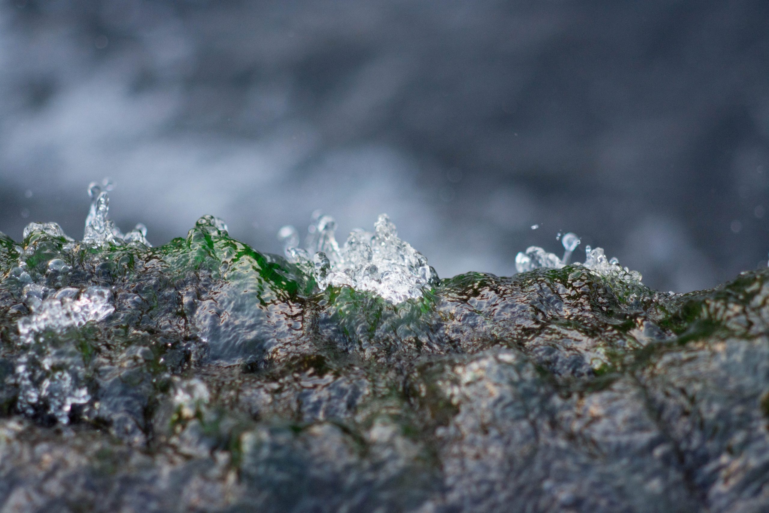 Fookuses on inimene: kliendikeskne organisatsioon ja väärtustloov ...